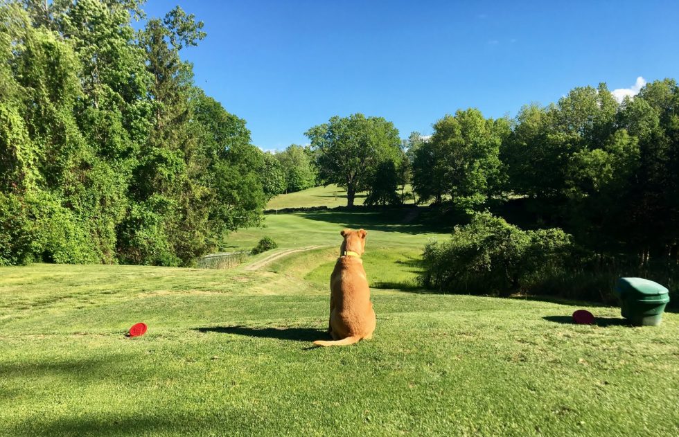 Photo Gallery – Copake, New York